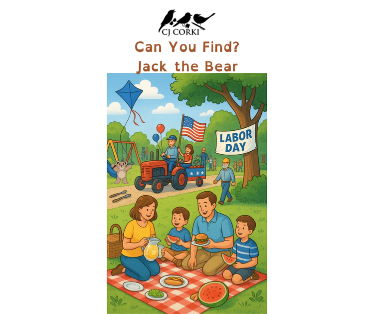 Can You Find-I Spy — CJ Corki - Can You Find, Did You Know