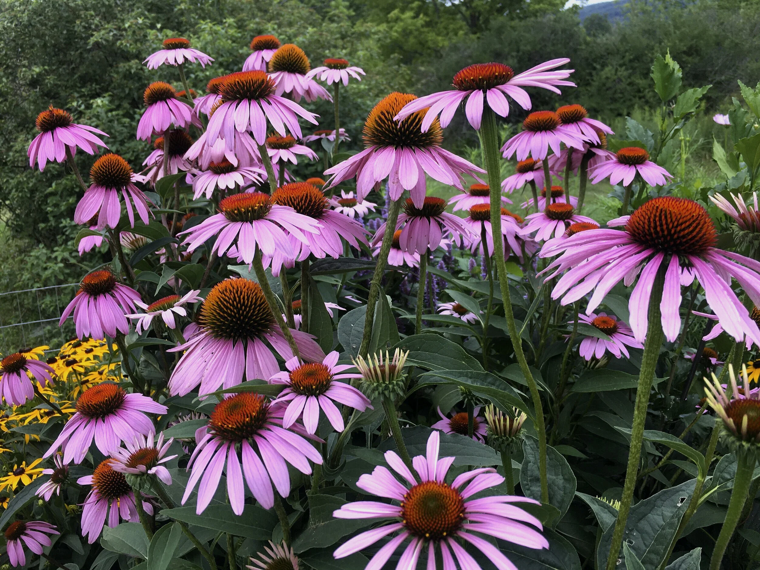 Acrylic Earth - Art by Sarah Calzada