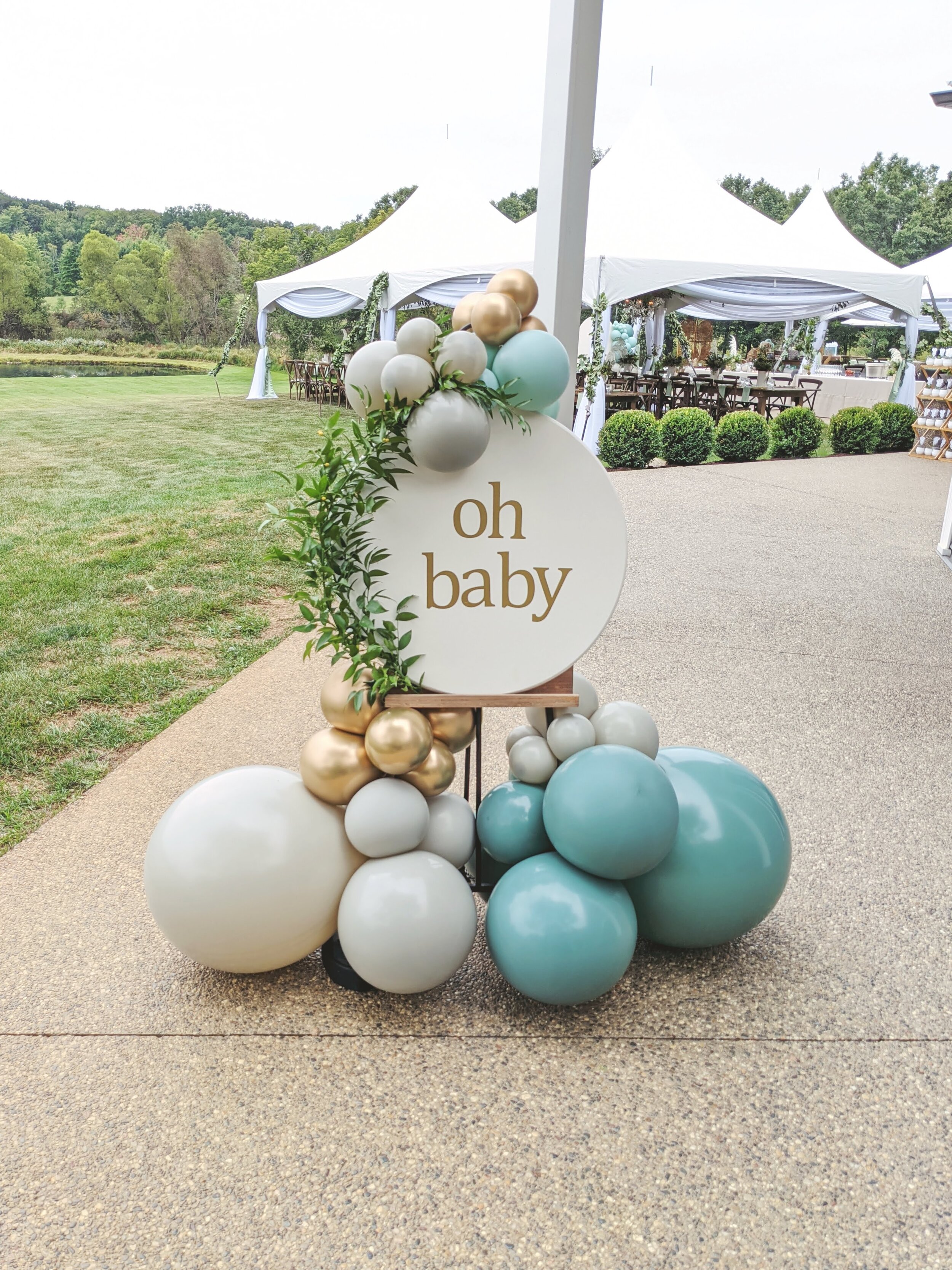 Custom and Unique Baby Shower Decorations and Gender Reveals — Luxury ...