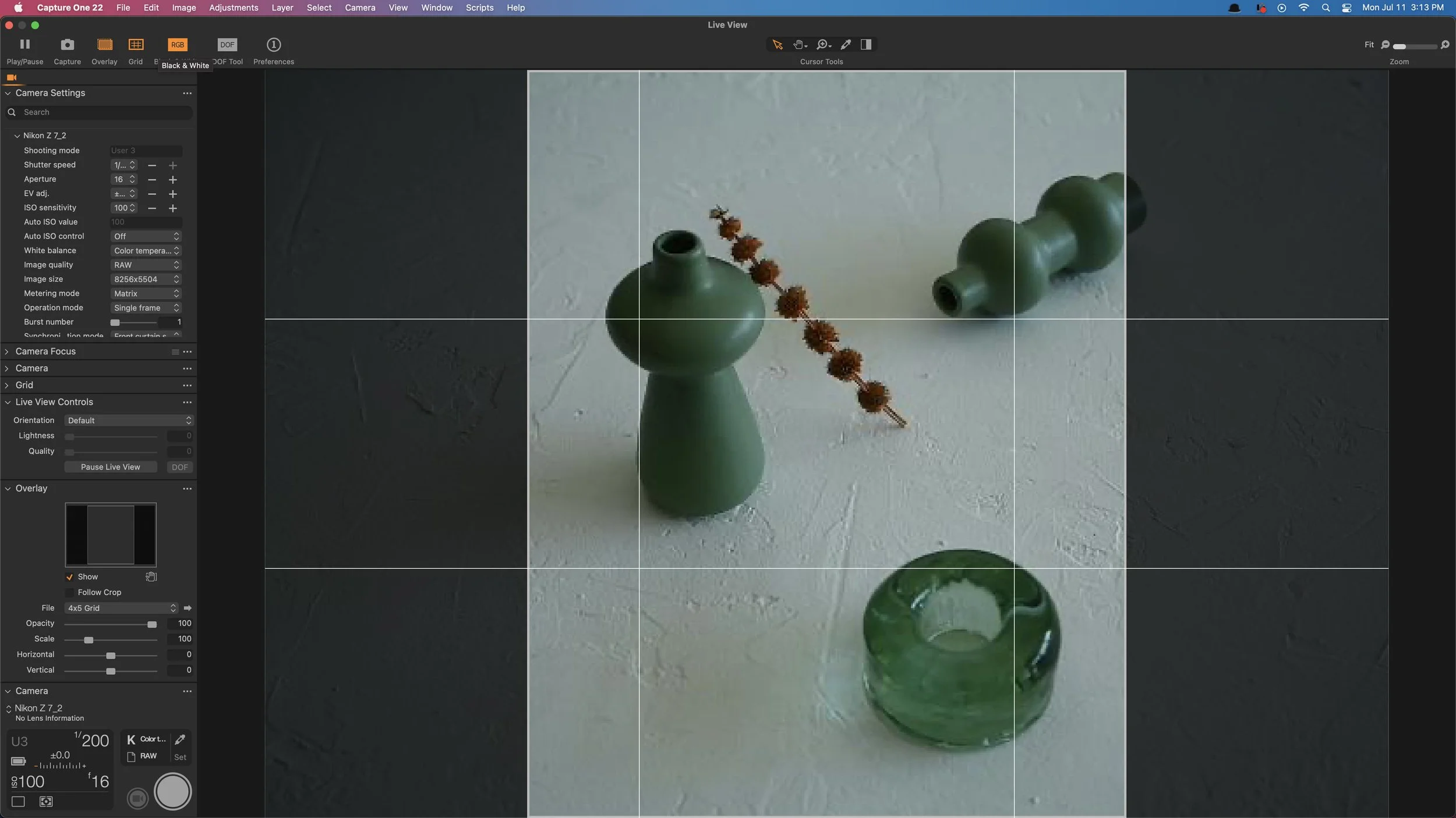 Capture One Overlays (Free Download) — Haas House