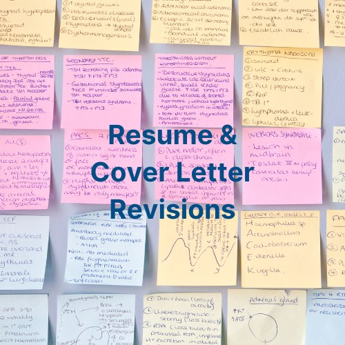 Existing Client Resume & Cover Letter Revisions — ResumeExec.com