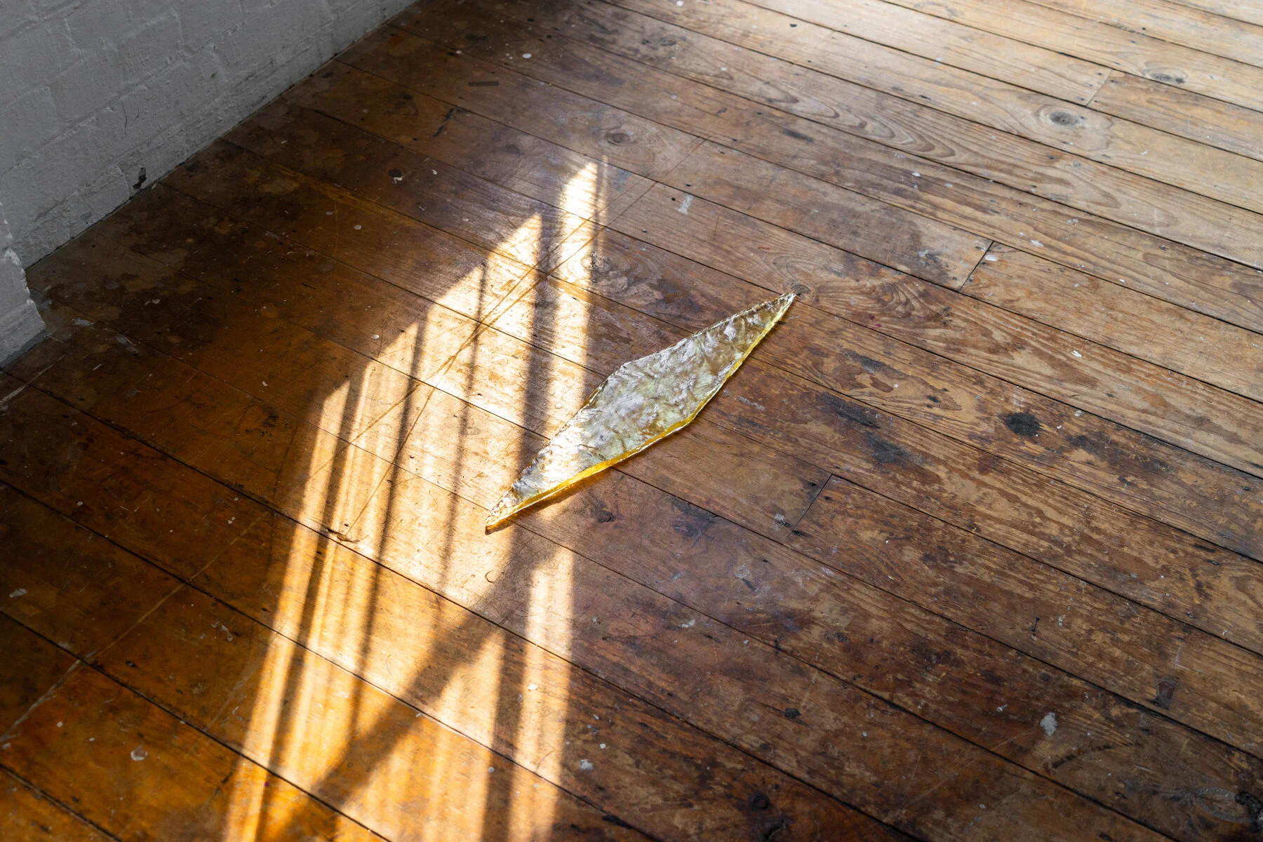Courtney Coombs — Courtney Coombs
