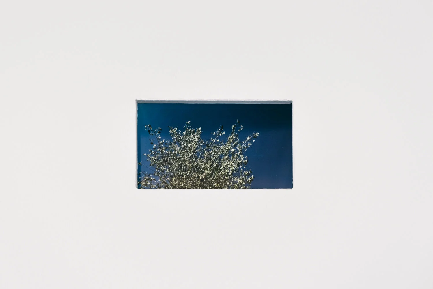 Courtney Coombs Sometimes it's the little things — Courtney Coombs