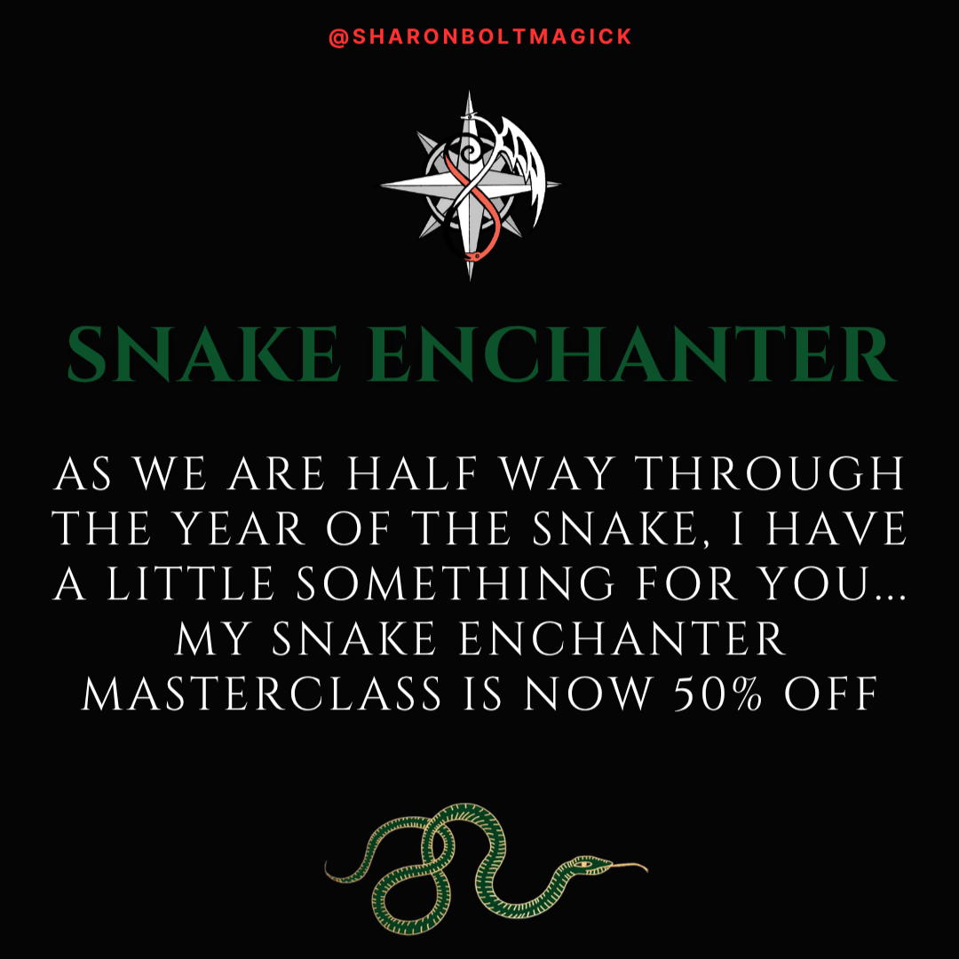 Snake Enchanter - 50% Off — SHARON BOLT