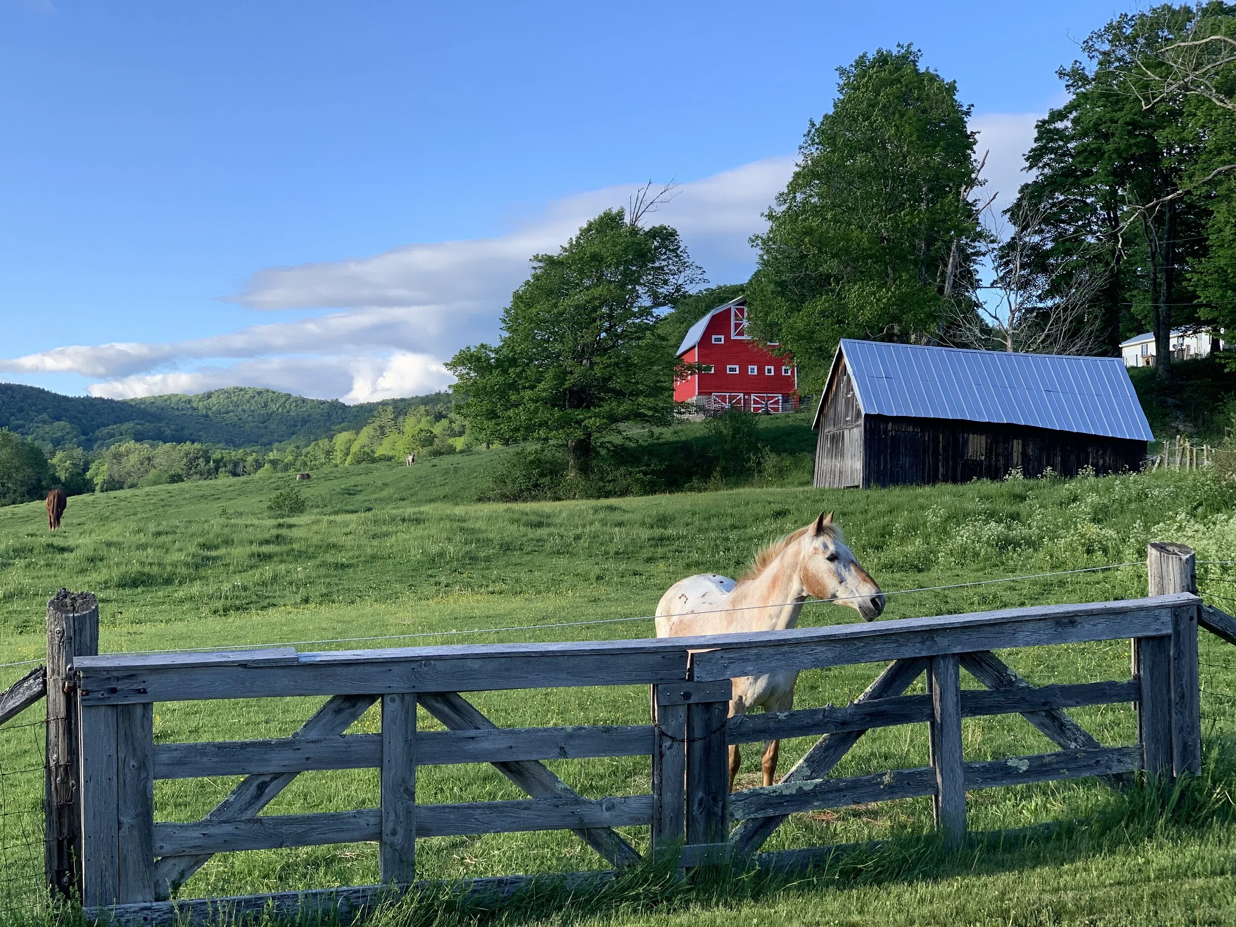 Milldale Farm Center for Wellness