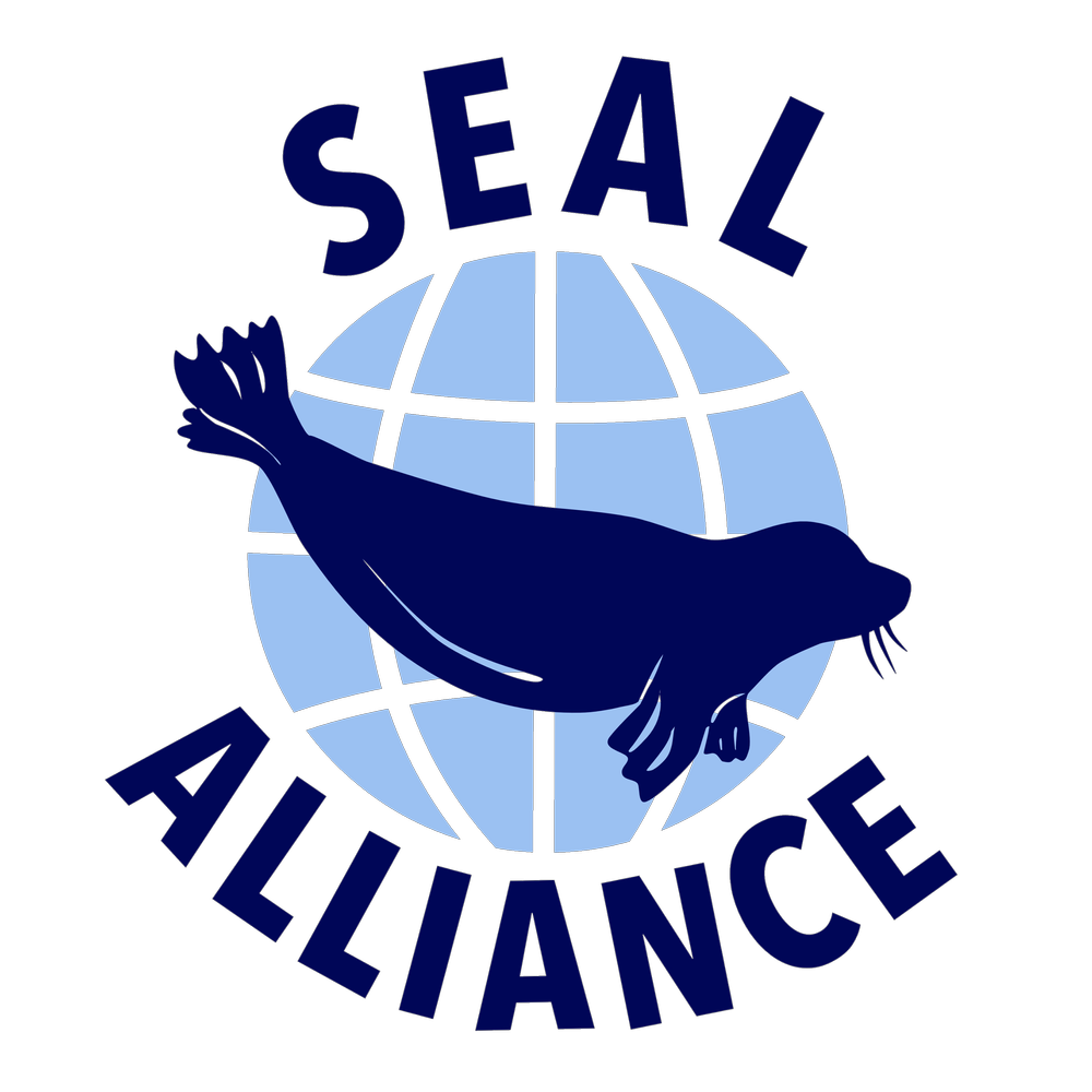 Flying Rings Campaign 2025 — The Seal Alliance
