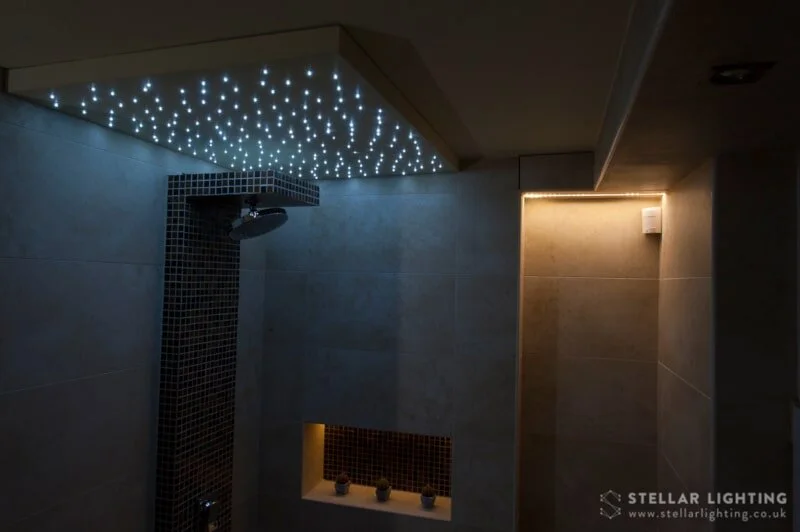 Light In Shower Ceiling - Ceiling Light Ideas