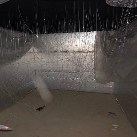 How to make a star ceiling — Stellar Lighting