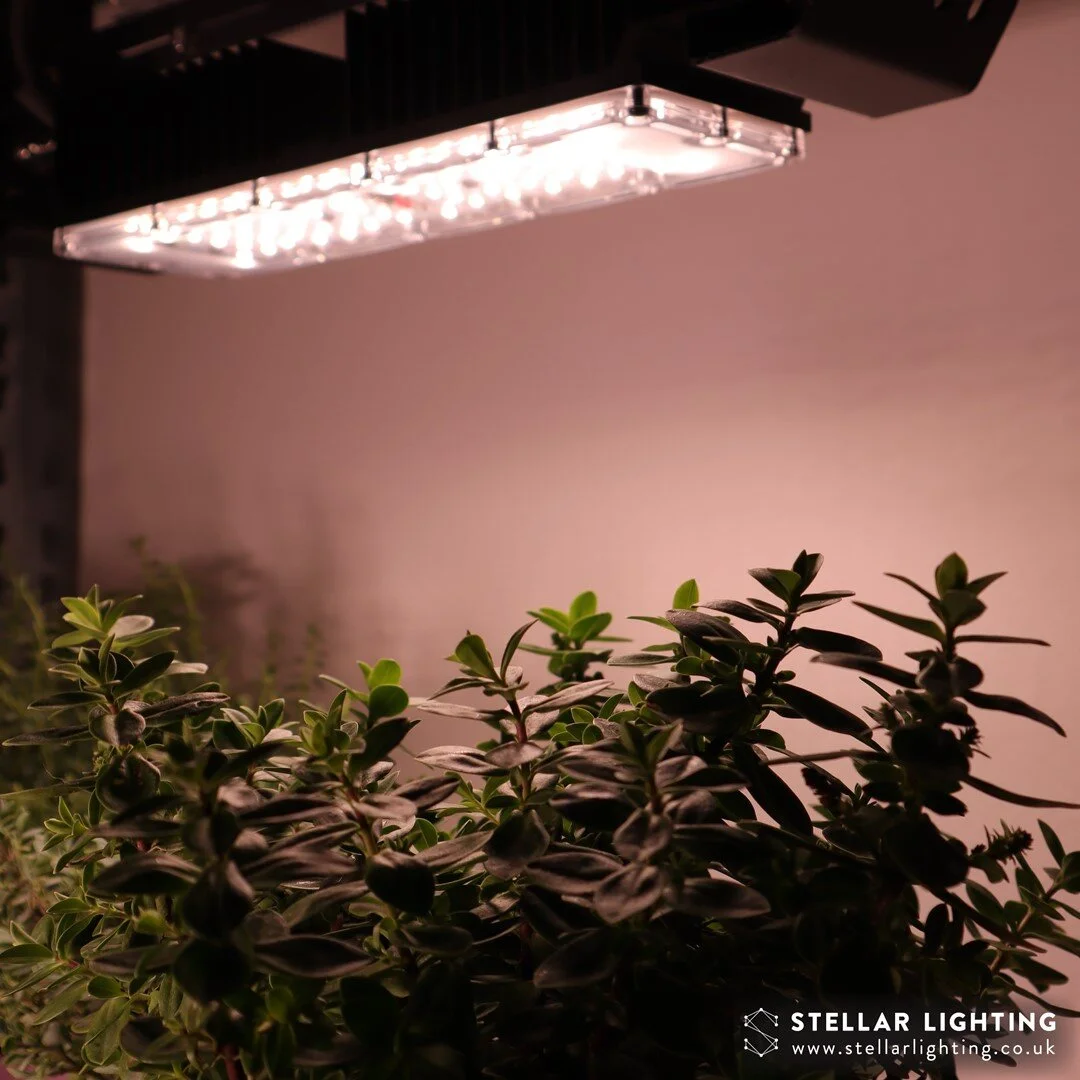 LED Grow Lights UK - Stellar Lighting — Stellar Lighting