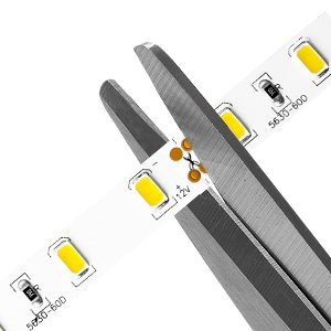 SMD 5630 LED strip (5m) - 12V DC, white — Stellar Lighting