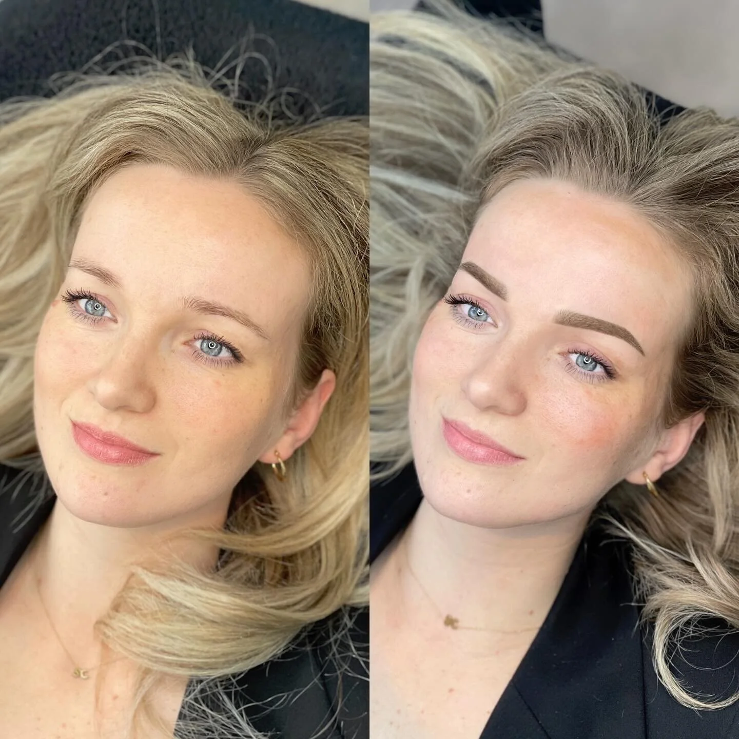 Powder Brows — THE BROW LAB