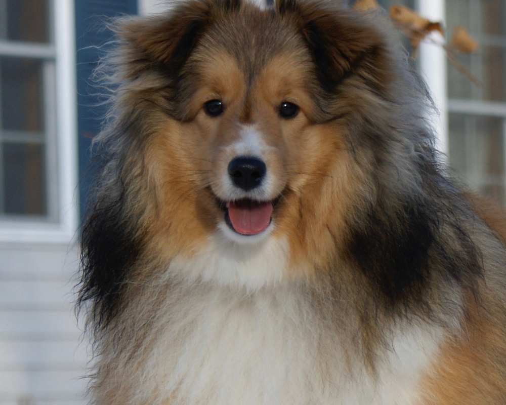 “Maddie” by Keith Basar — Wisdom2Be