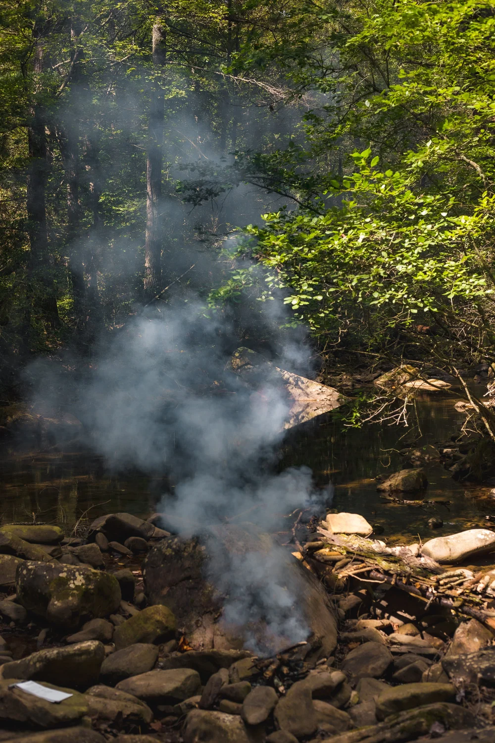 Poor Signifier — Nicholas Seitz Photographer