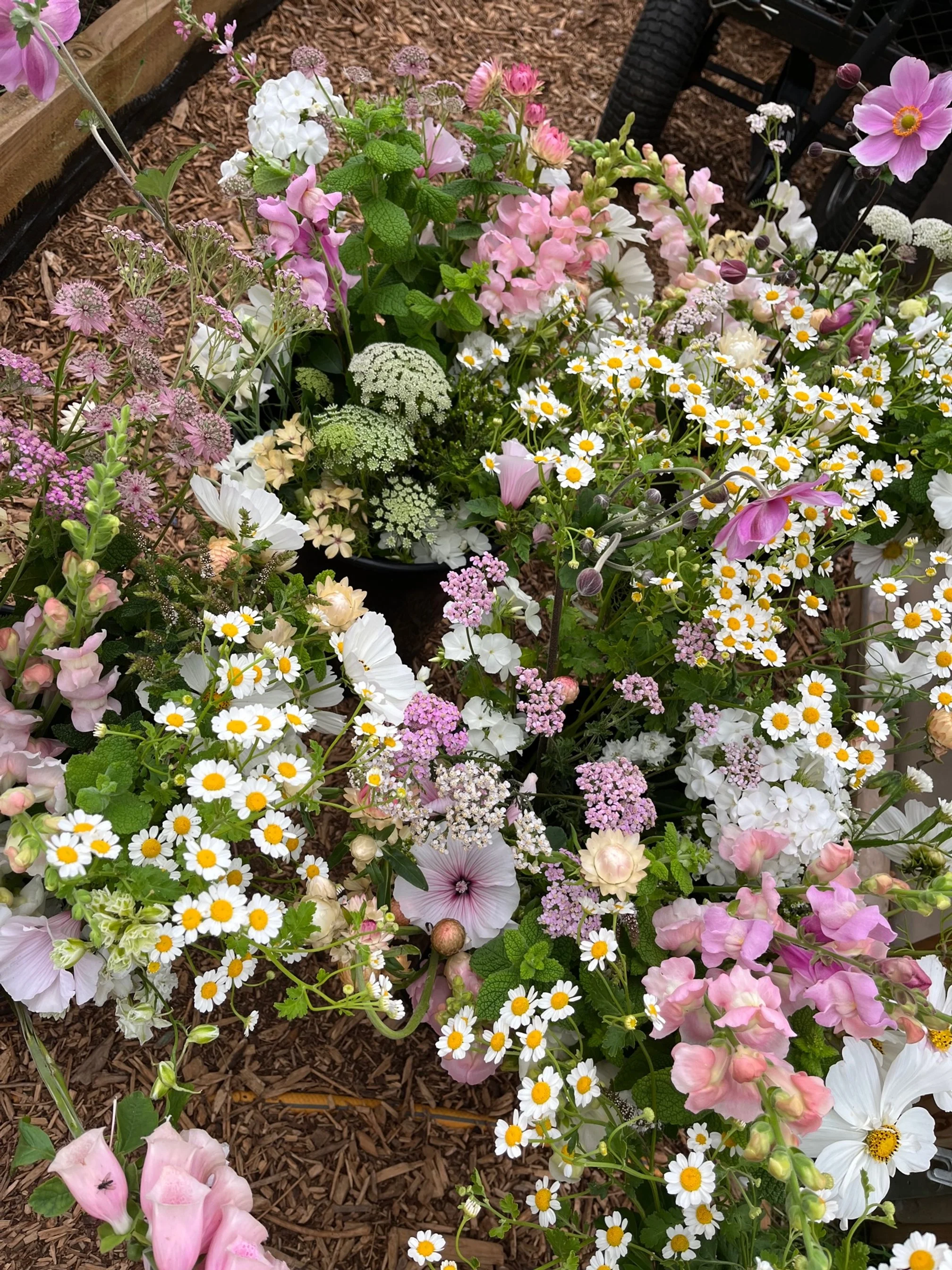 Norfolk Grown Wedding Flowers | Norfolk Florist | Sustainable British ...