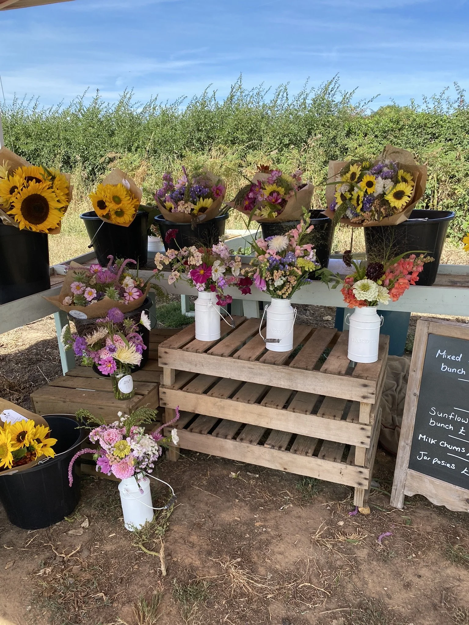 Norfolk Flower Farm