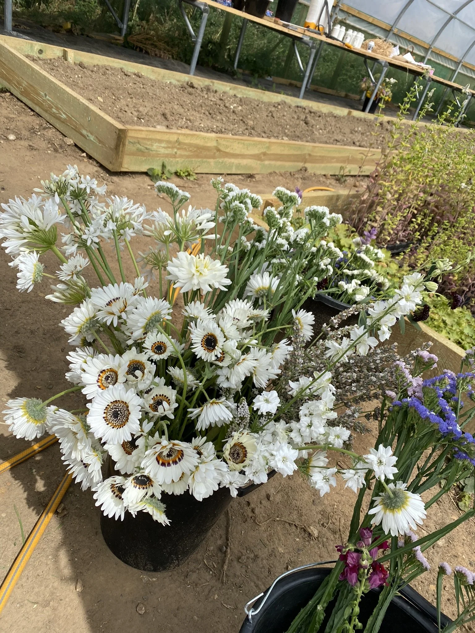 Flower Buckets — Norfolk Flower Farm