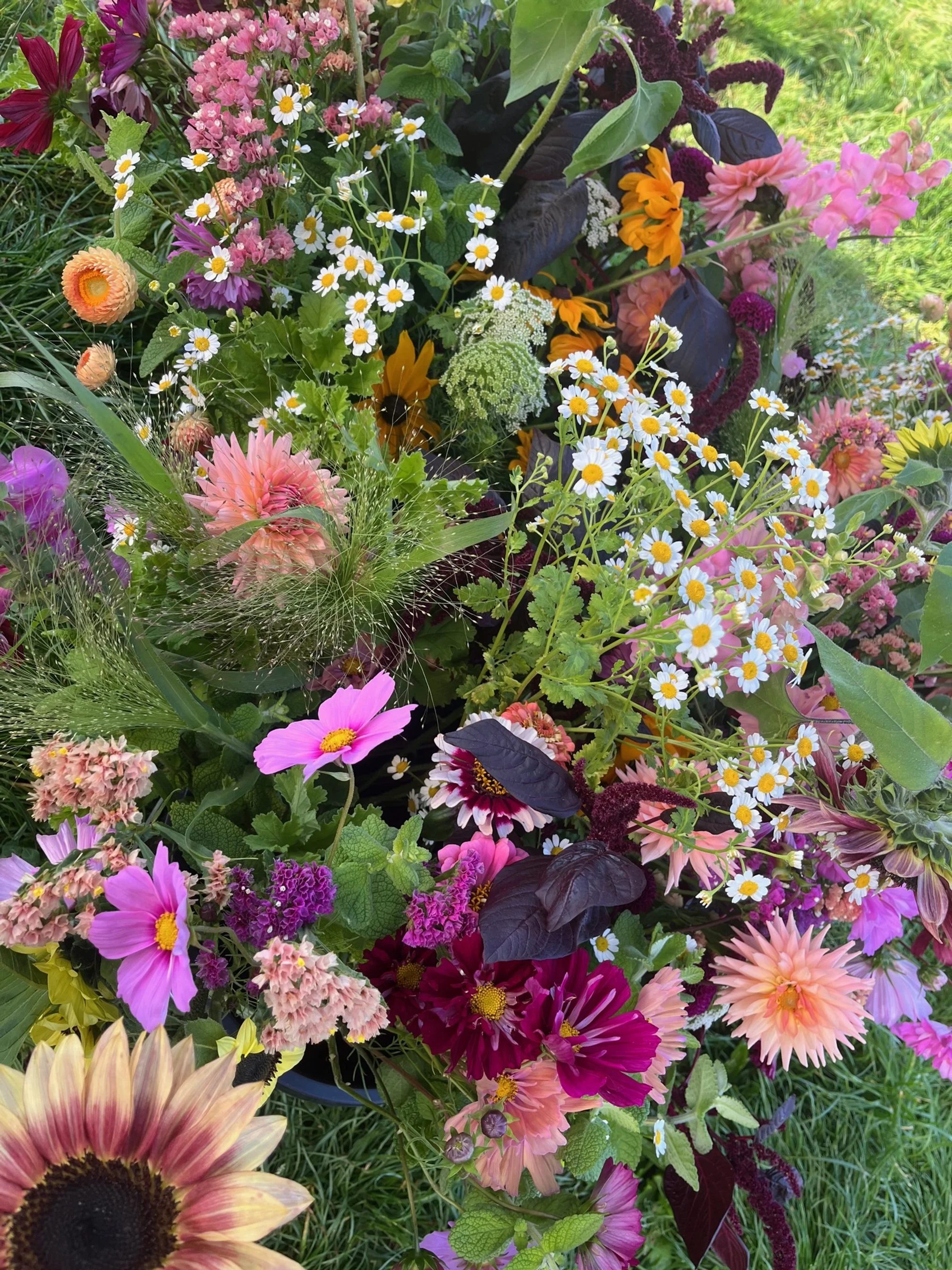 Norfolk Grown Wedding Flowers | Norfolk Florist | Sustainable British ...