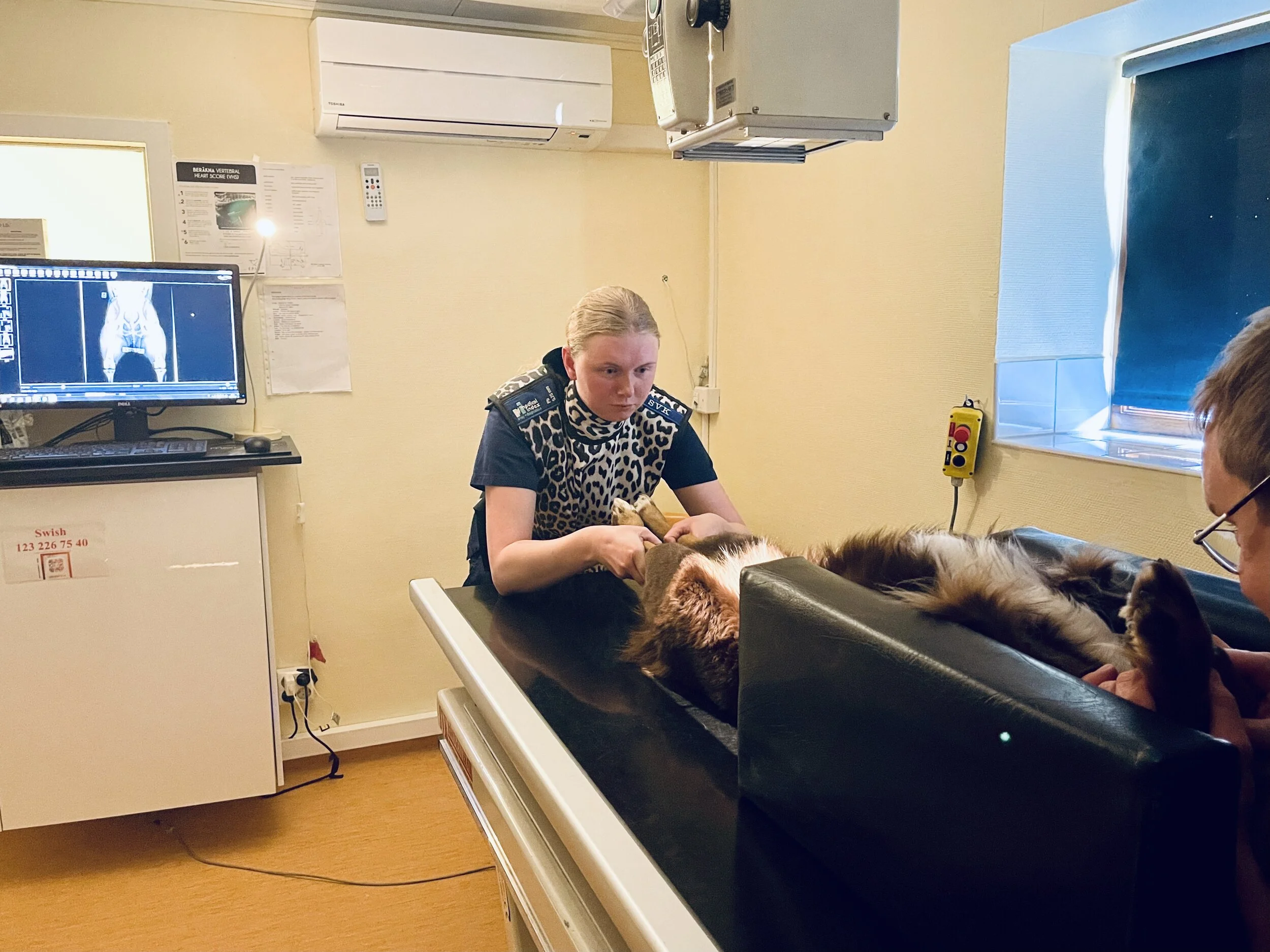 Behandlingar — Gylle Smådjursklinik