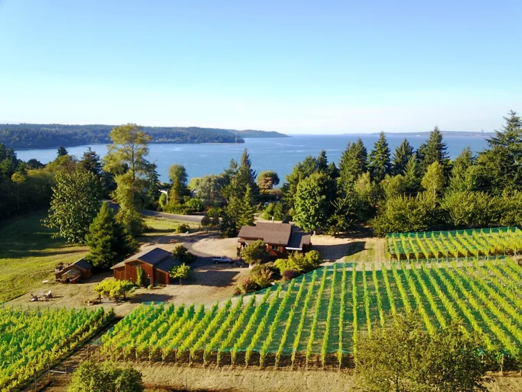Maury Island Winery