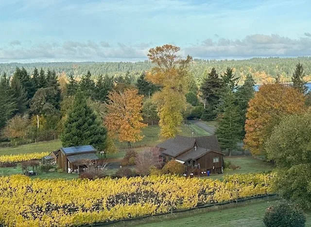 Maury Island Winery