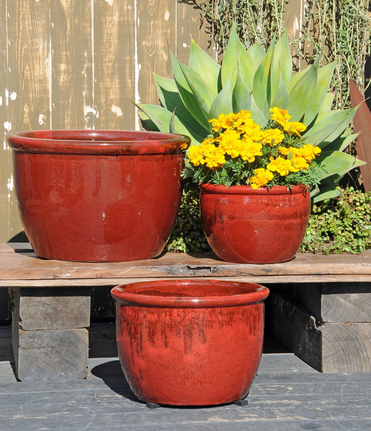 Frost Proof Outdoor Ceramic Pottery | Outdoor Pots & Planters For Yards ...