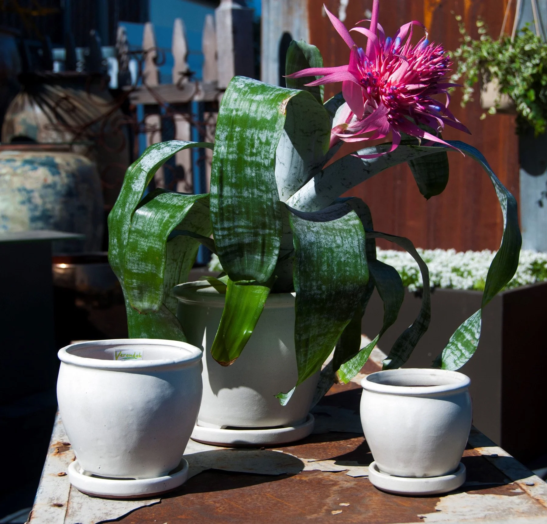 Indoor Ceramic Pottery | Indoor Pots & Planters — POTTERY HOUSE