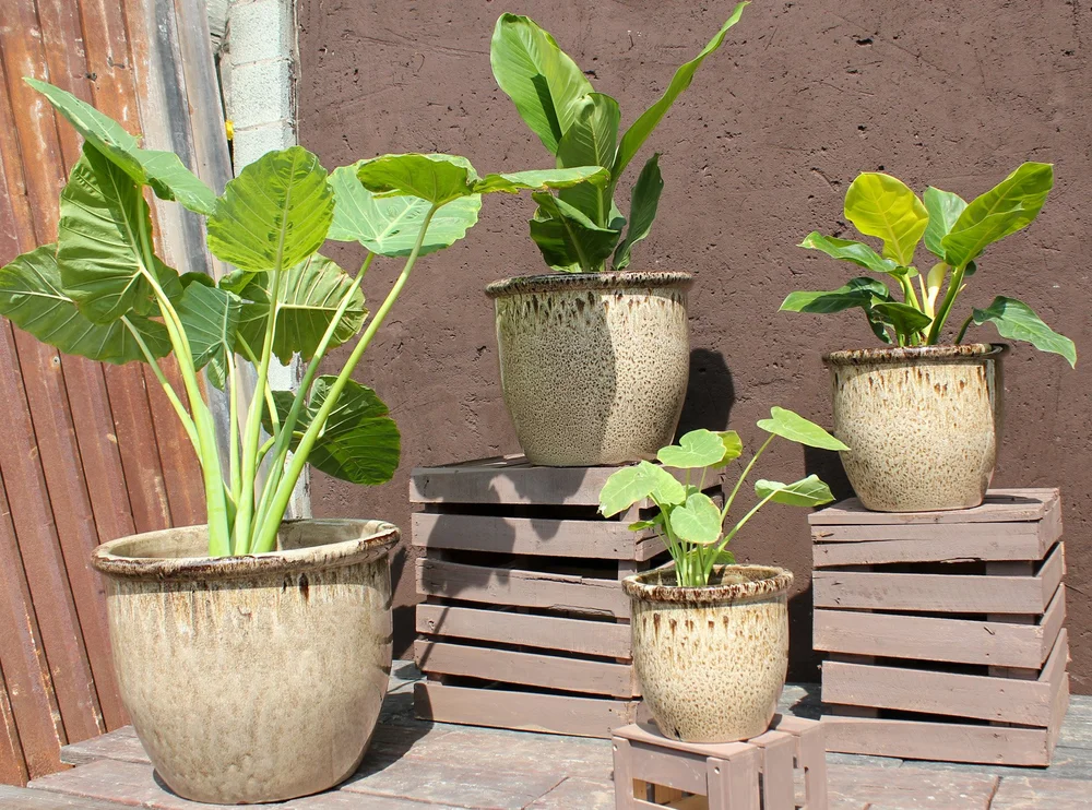 Frost Proof Outdoor Ceramic Pottery | Outdoor Pots & Planters For Yards ...