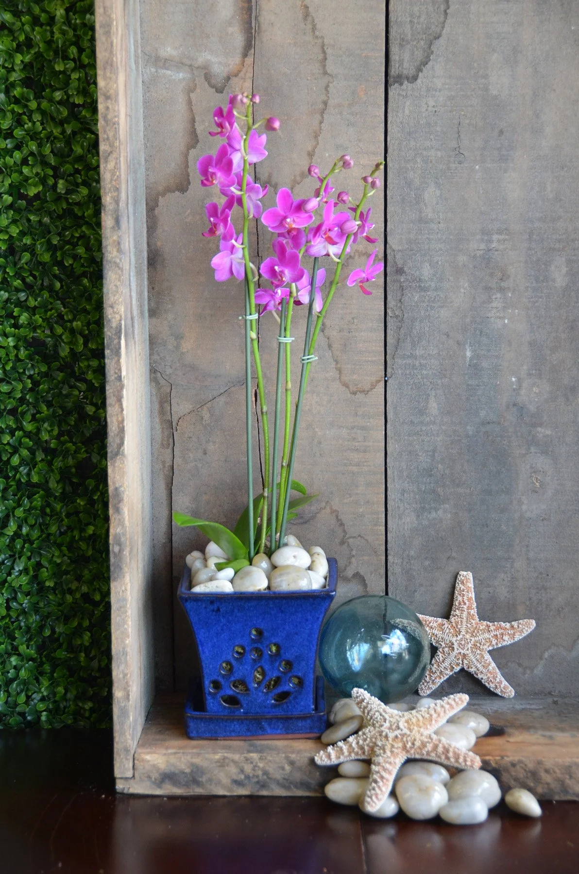 Orchid Planters | Ceramic Orchid Pots & Pottery — POTTERY HOUSE