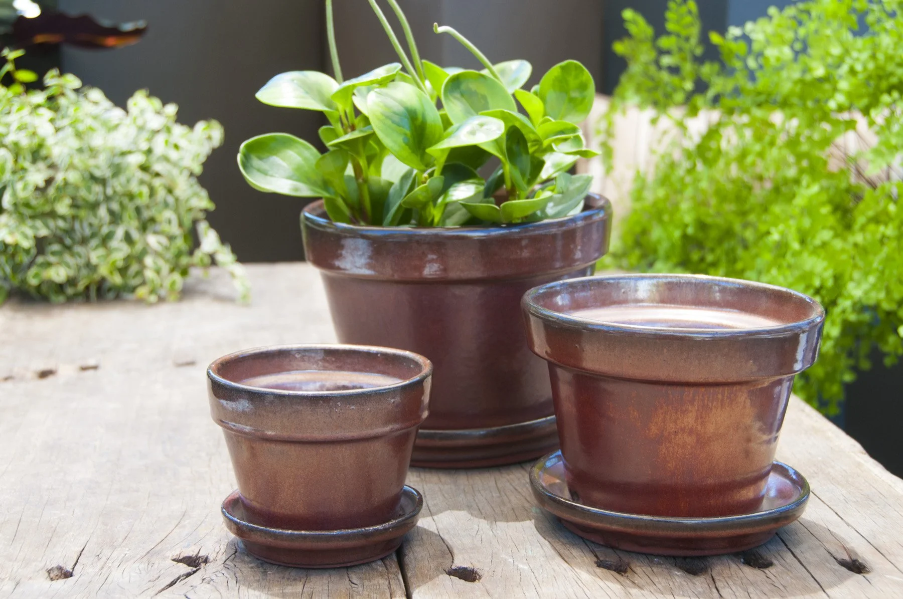 Indoor Ceramic Pottery | Indoor Pots & Planters — POTTERY HOUSE