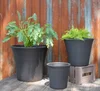 Frost Proof Outdoor Ceramic Pottery | Outdoor Pots & Planters For Yards ...