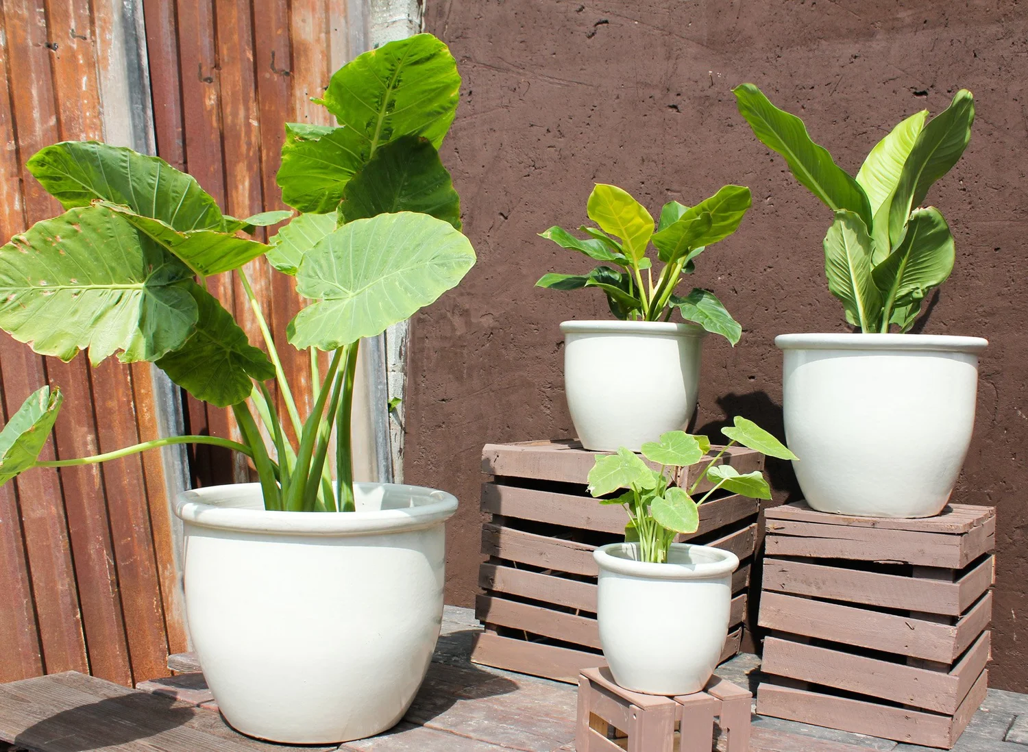 Frost Proof Outdoor Ceramic Pottery | Outdoor Pots & Planters For Yards ...