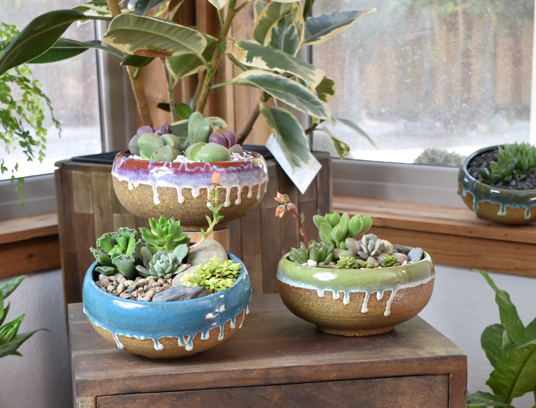 Indoor Ceramic Pottery | Indoor Pots & Planters — POTTERY HOUSE