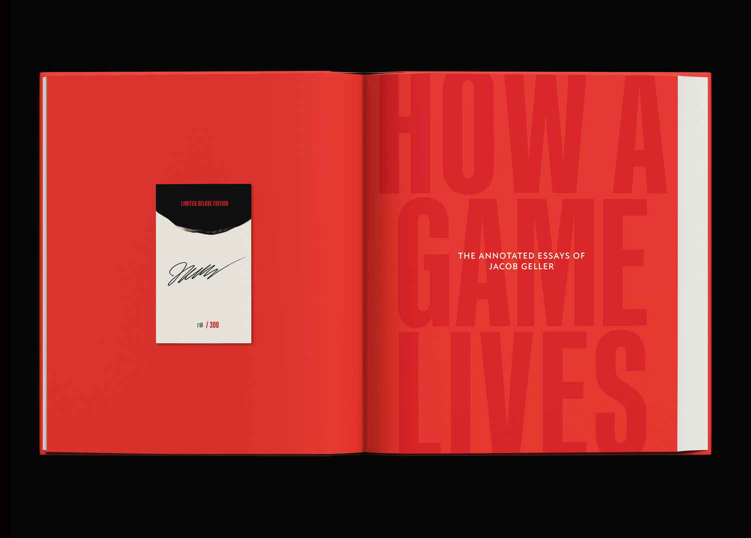 How a Game Lives: The Annotated Essays of Jacob Geller — Lost In Cult