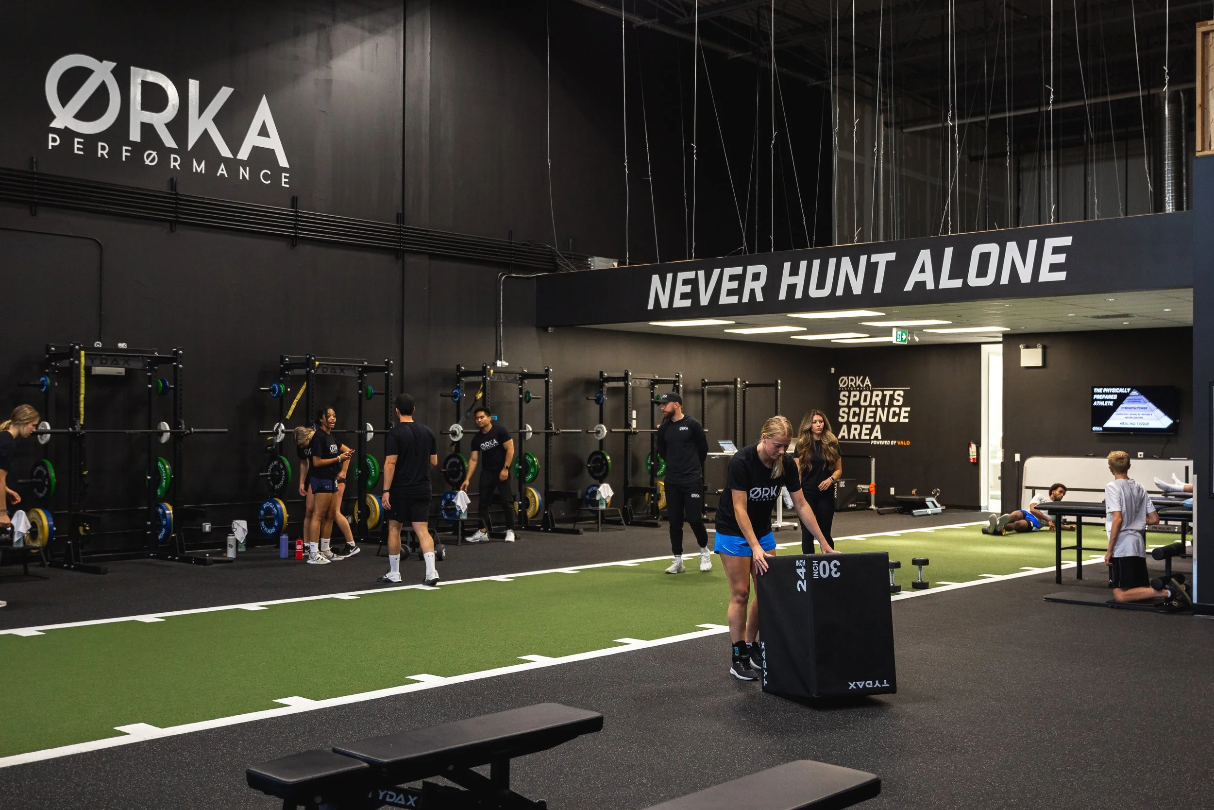 ORKA Physiotherapy — ORKA Performance