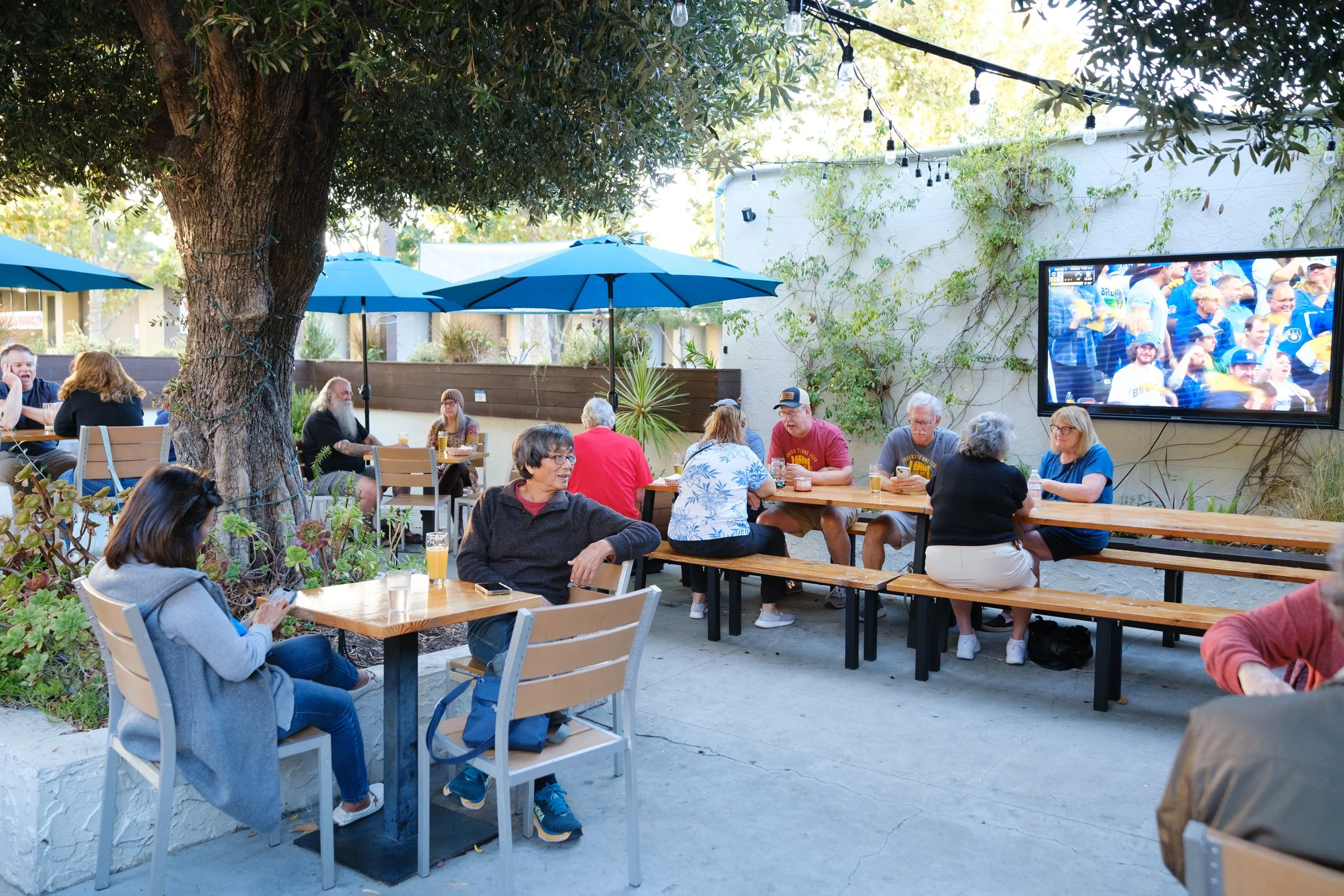 Home — Side Gate Brewery & Beer Garden