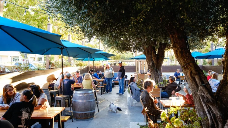 Home — Side Gate Brewery & Beer Garden
