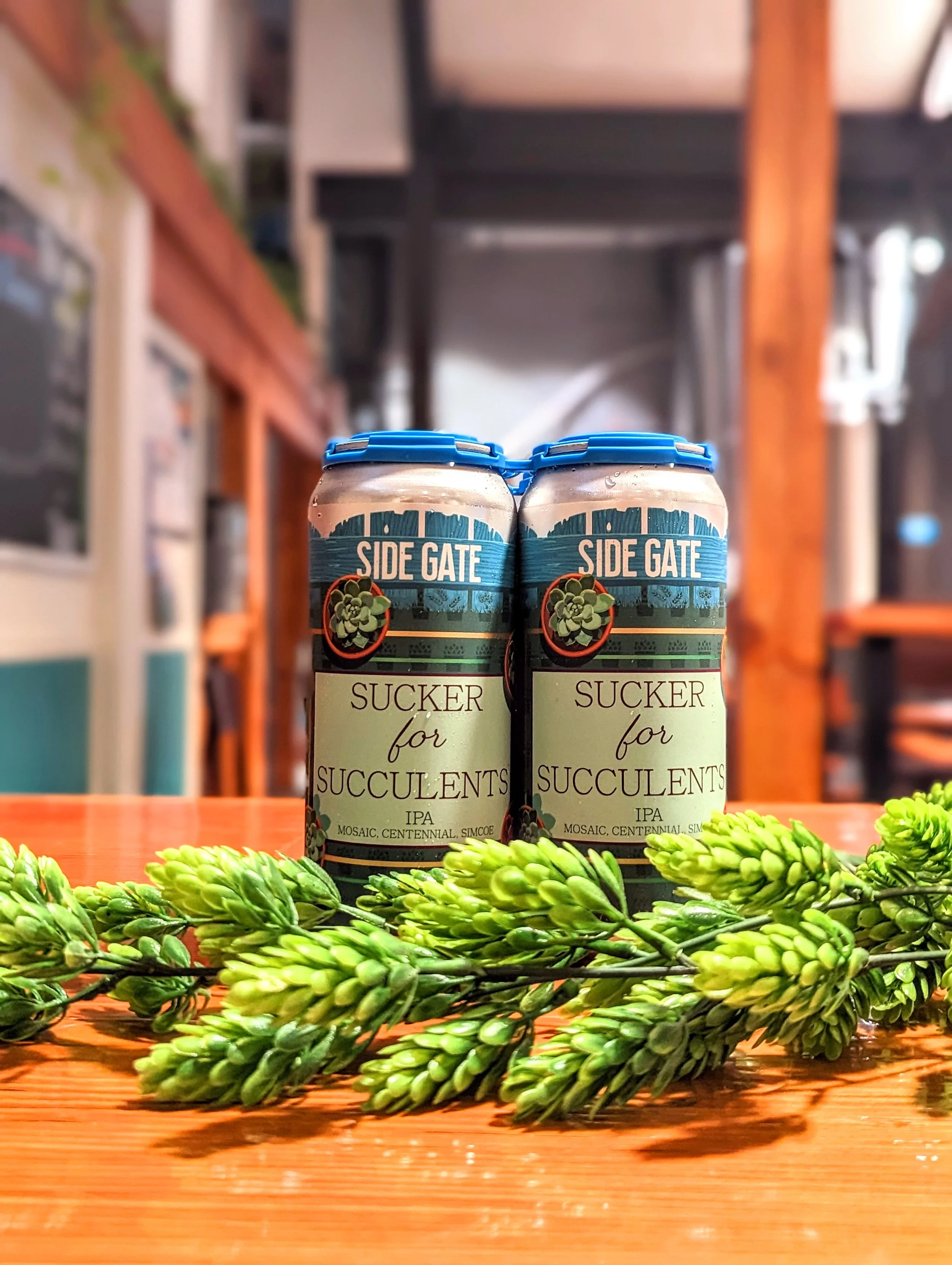 Our Beer — Side Gate Brewery & Beer Garden