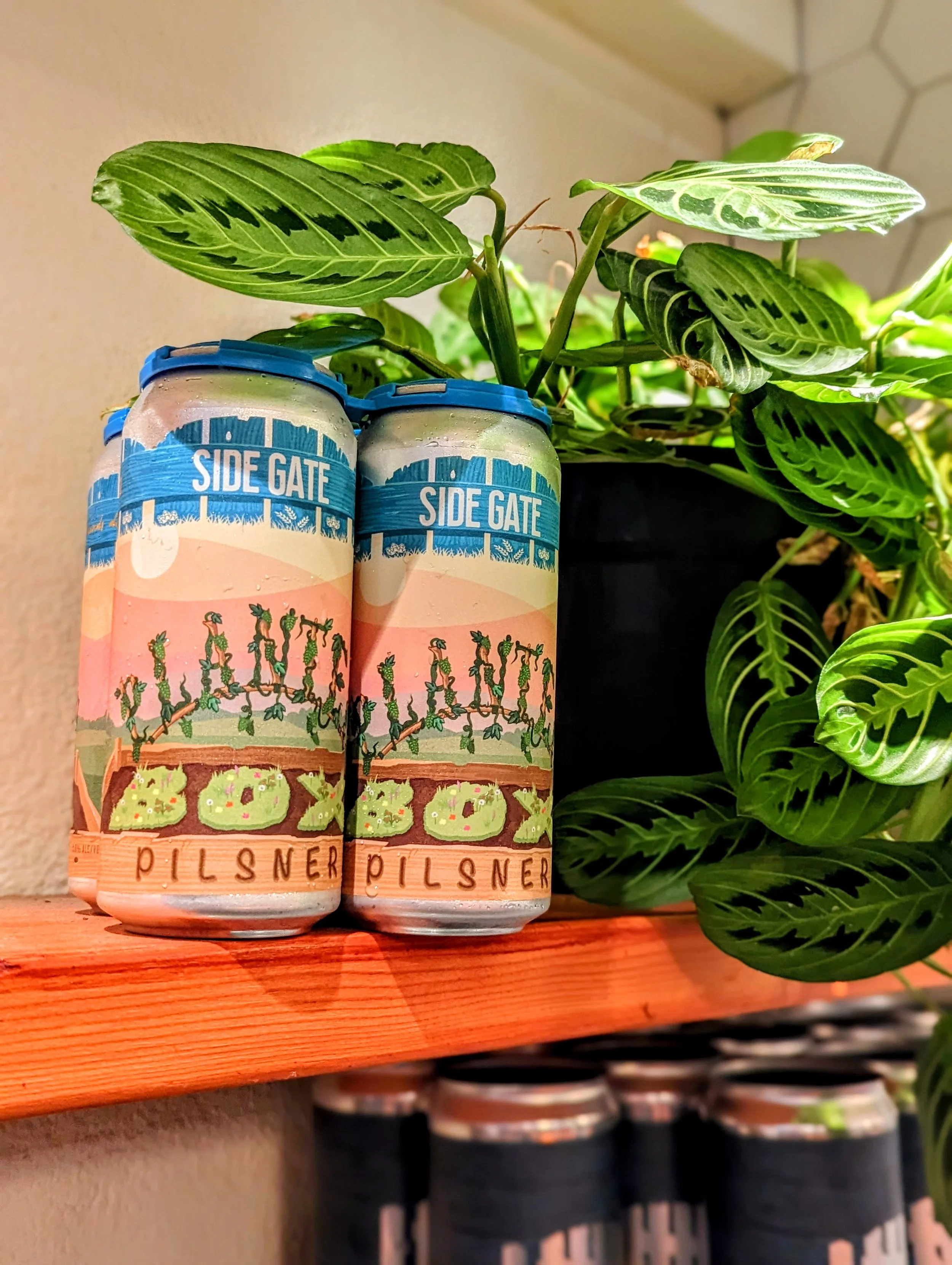 Our Beer — Side Gate Brewery & Beer Garden