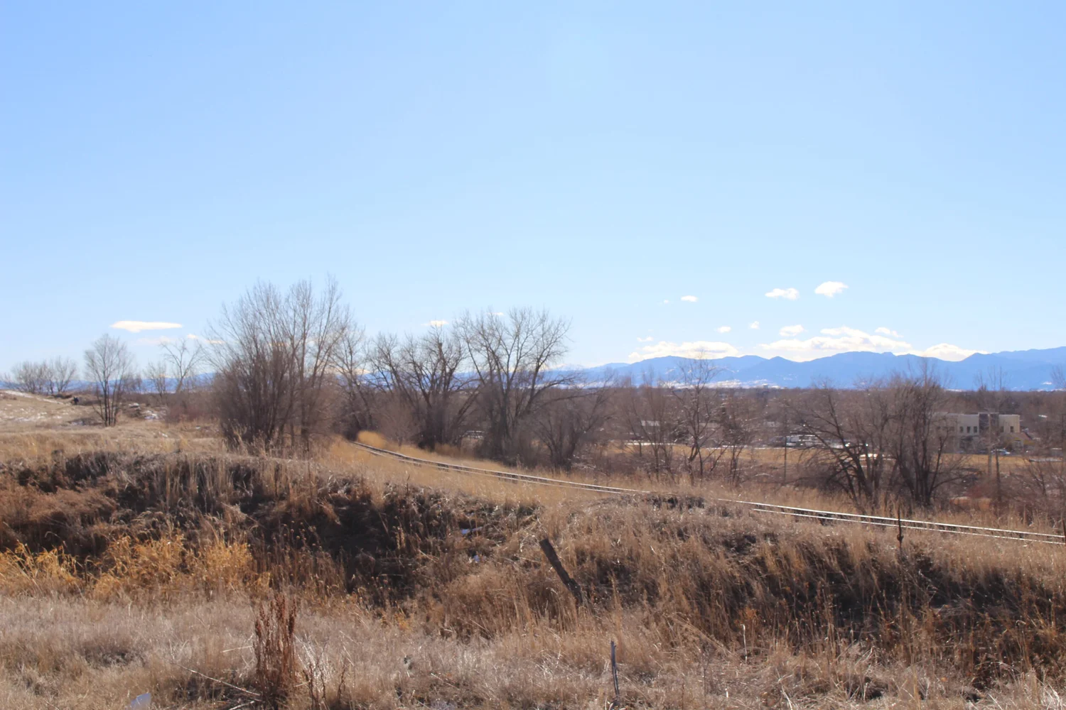Railbike Experiences — Colorado Railbike Adventures