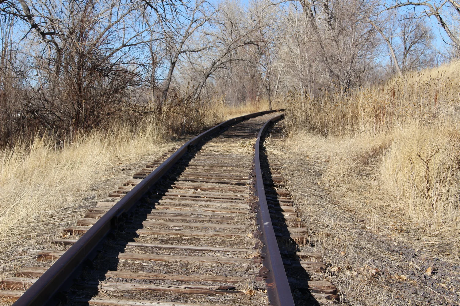 Railbike Experiences — Colorado Railbike Adventures