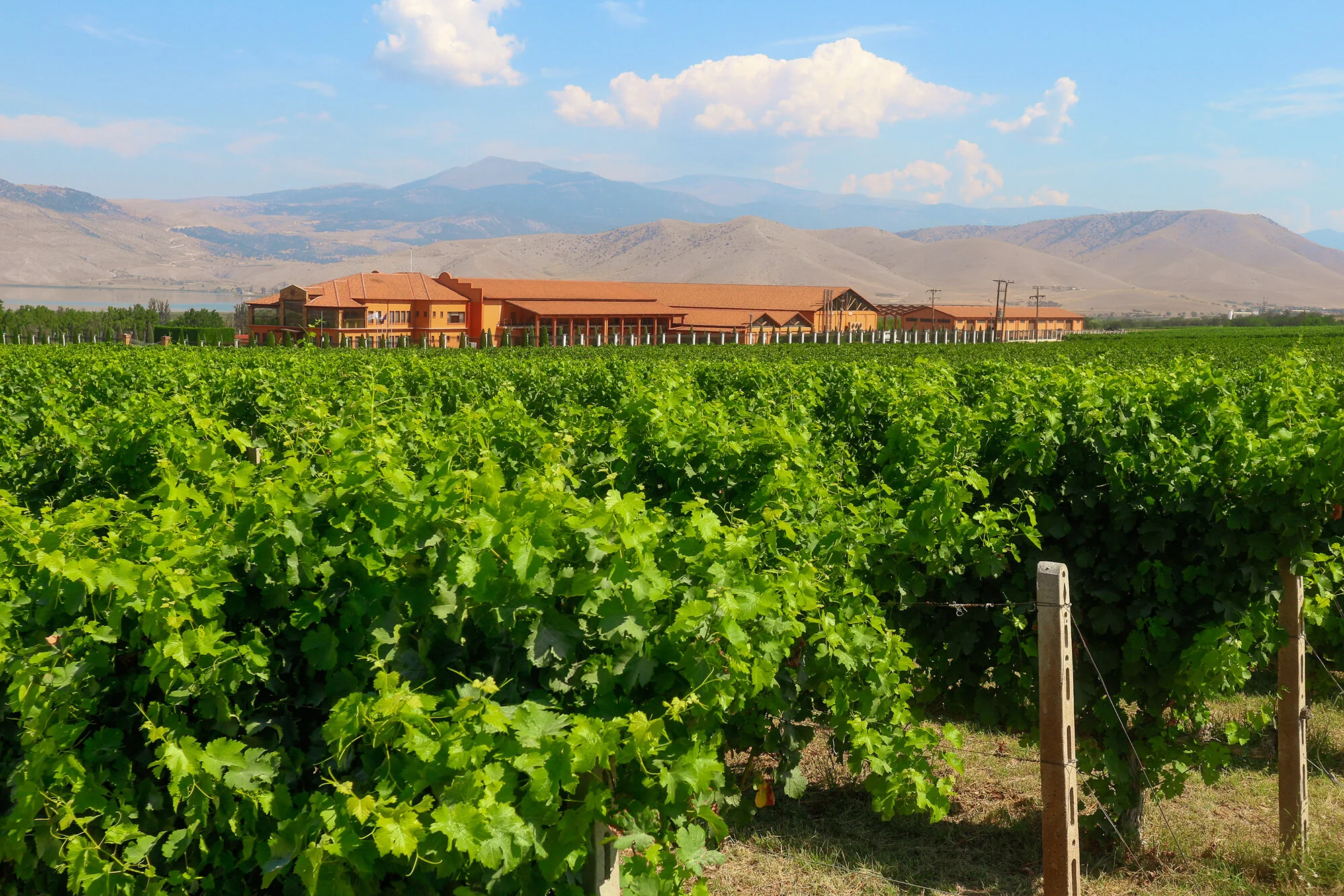 Diamond Wine Importers