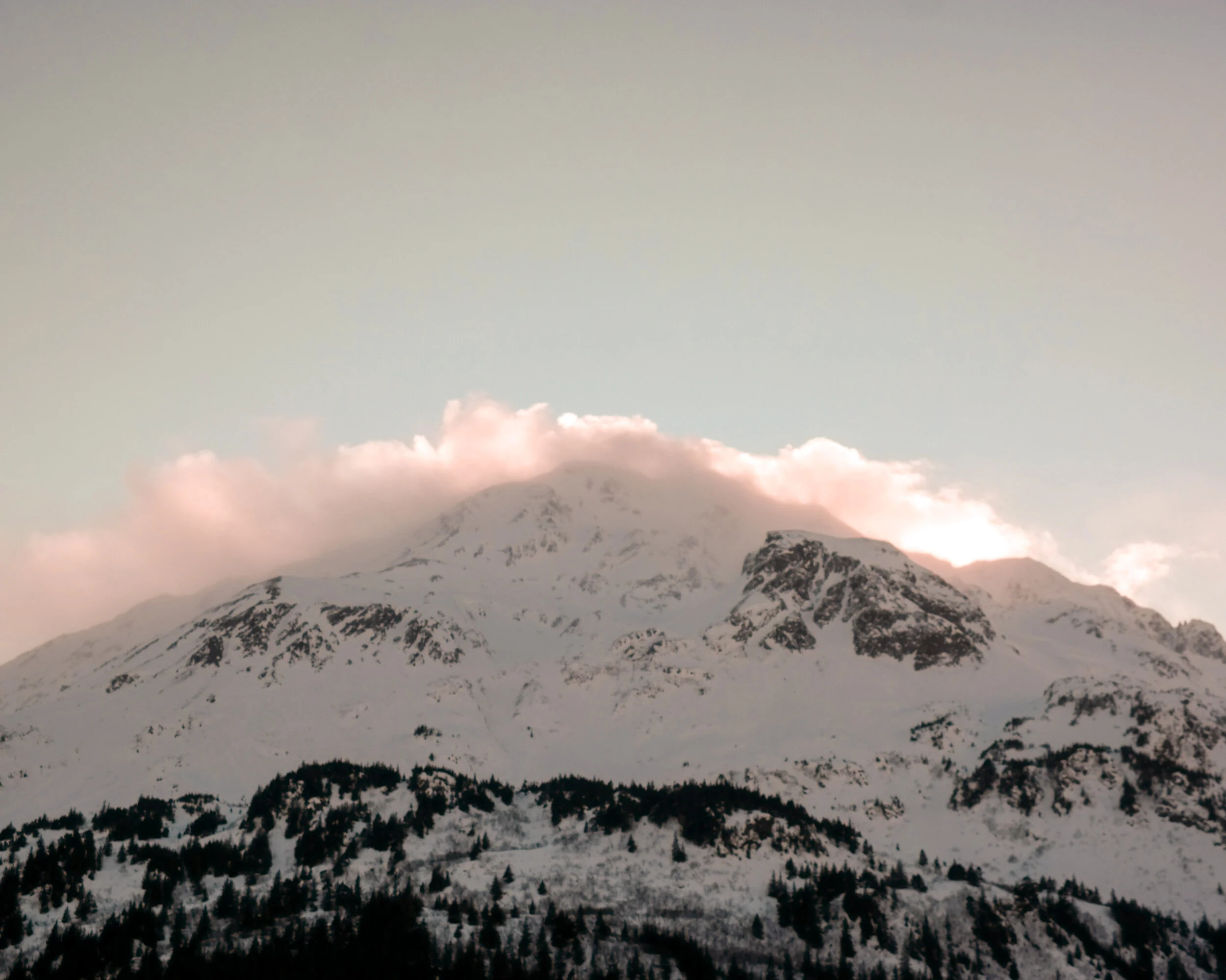 Shop — Kenzie Fuller