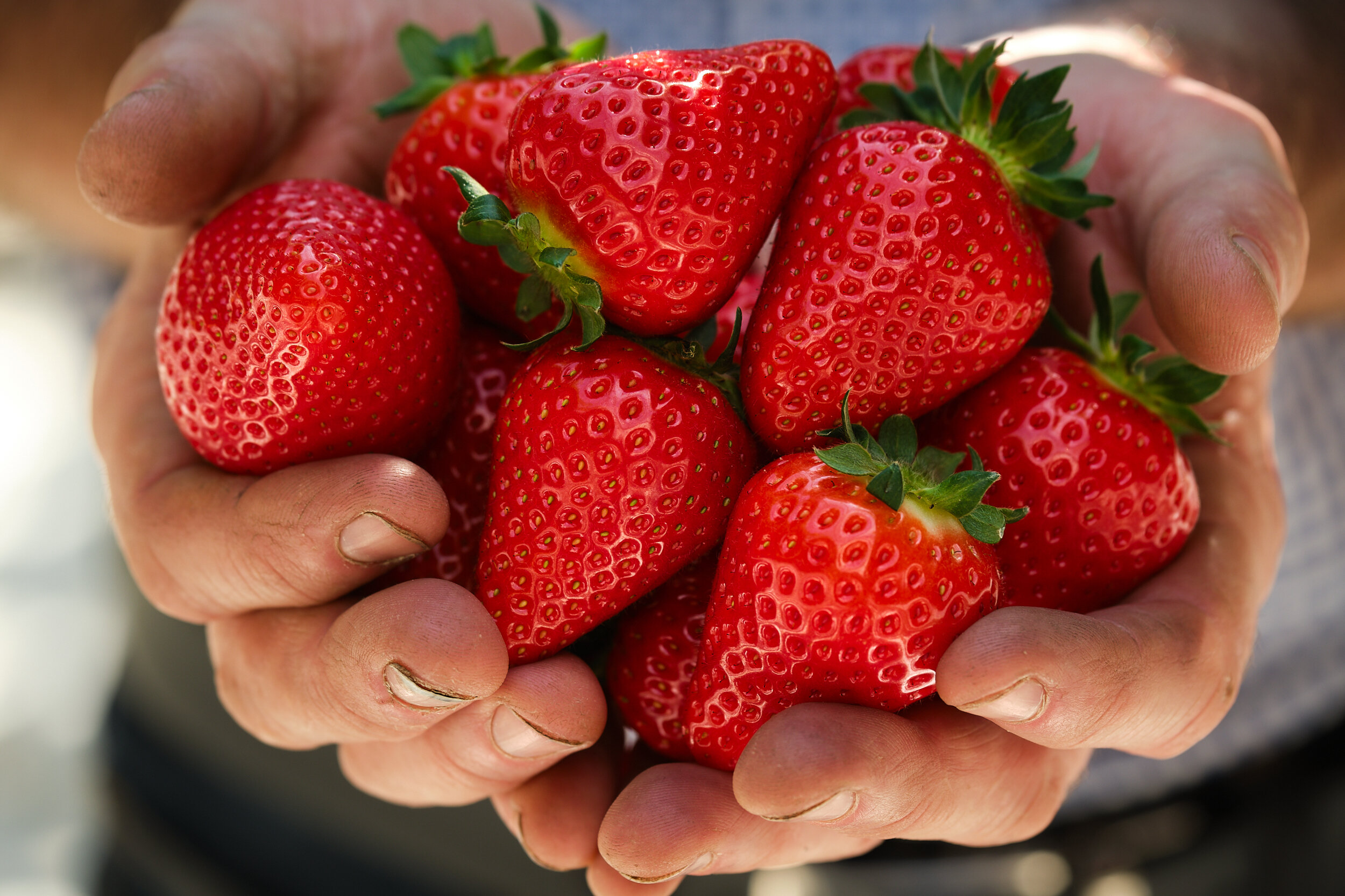 Deliciously Tempting Food Photography Belfast and Northern Ireland ...