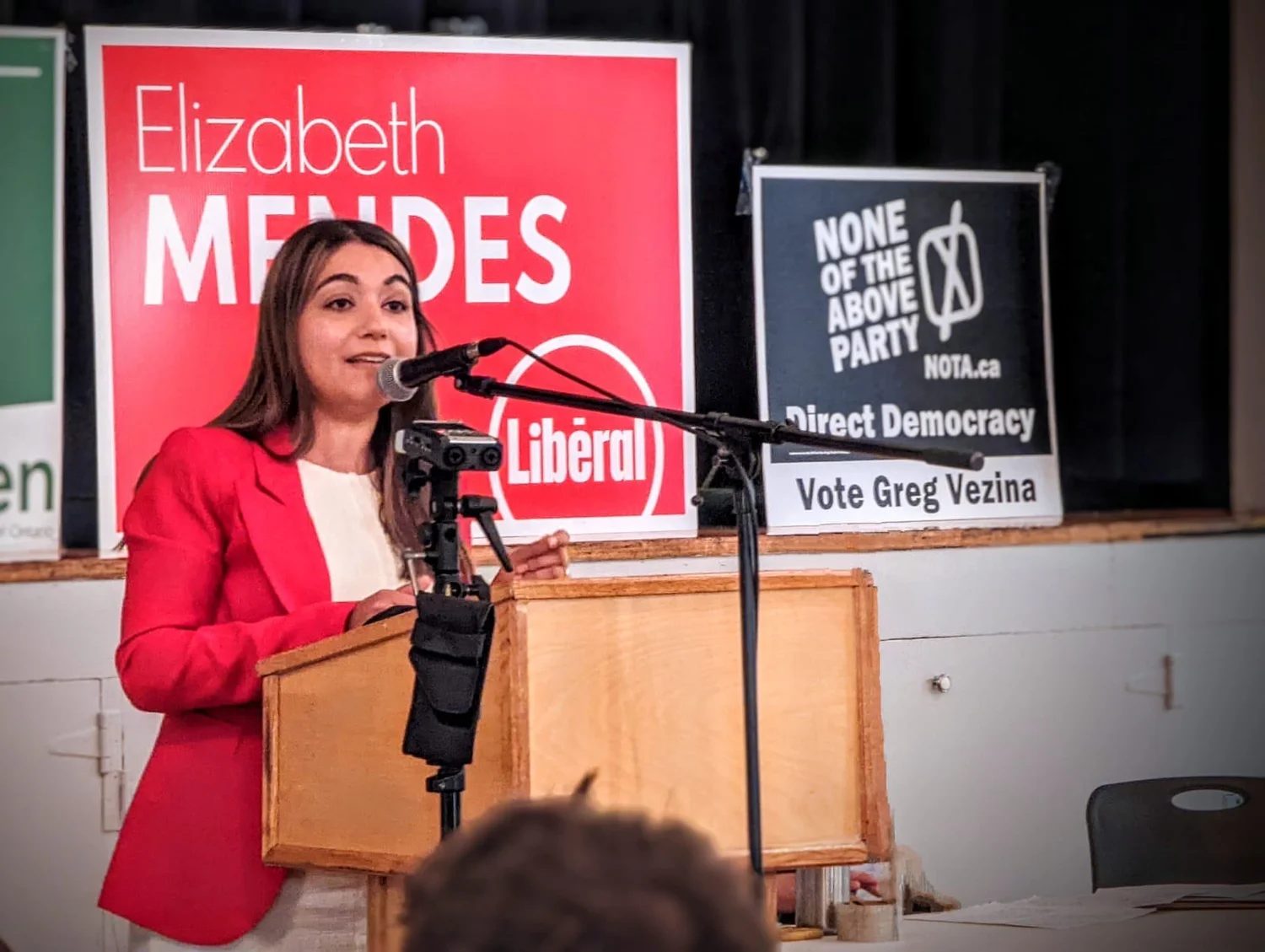 Elizabeth Mendes for Mississauga-Lakeshore