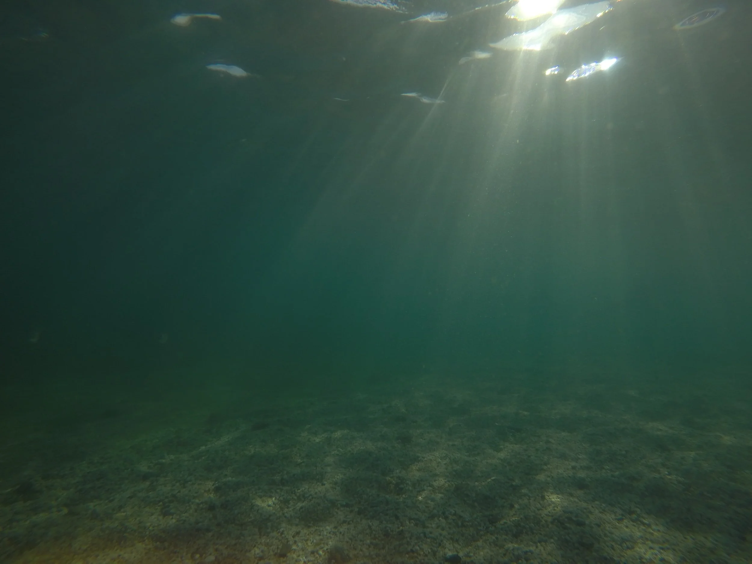 Optical Windows: the Ultimate Guide — Firebird Optics