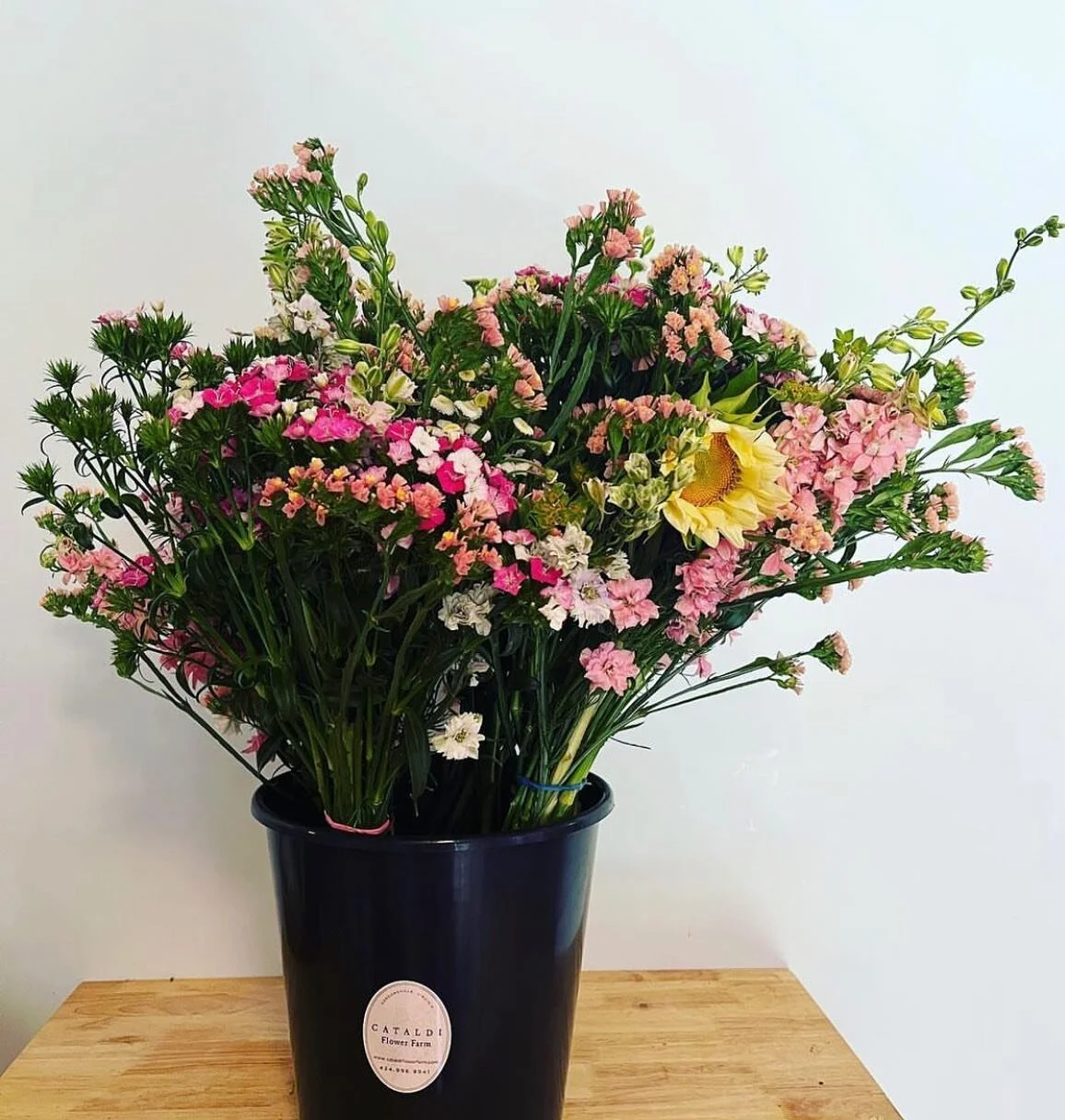 Gillispie's County Line Farm