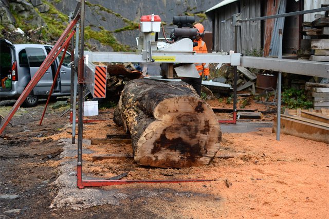 Cutting up the spalted beech tree… — Jonathan Leech