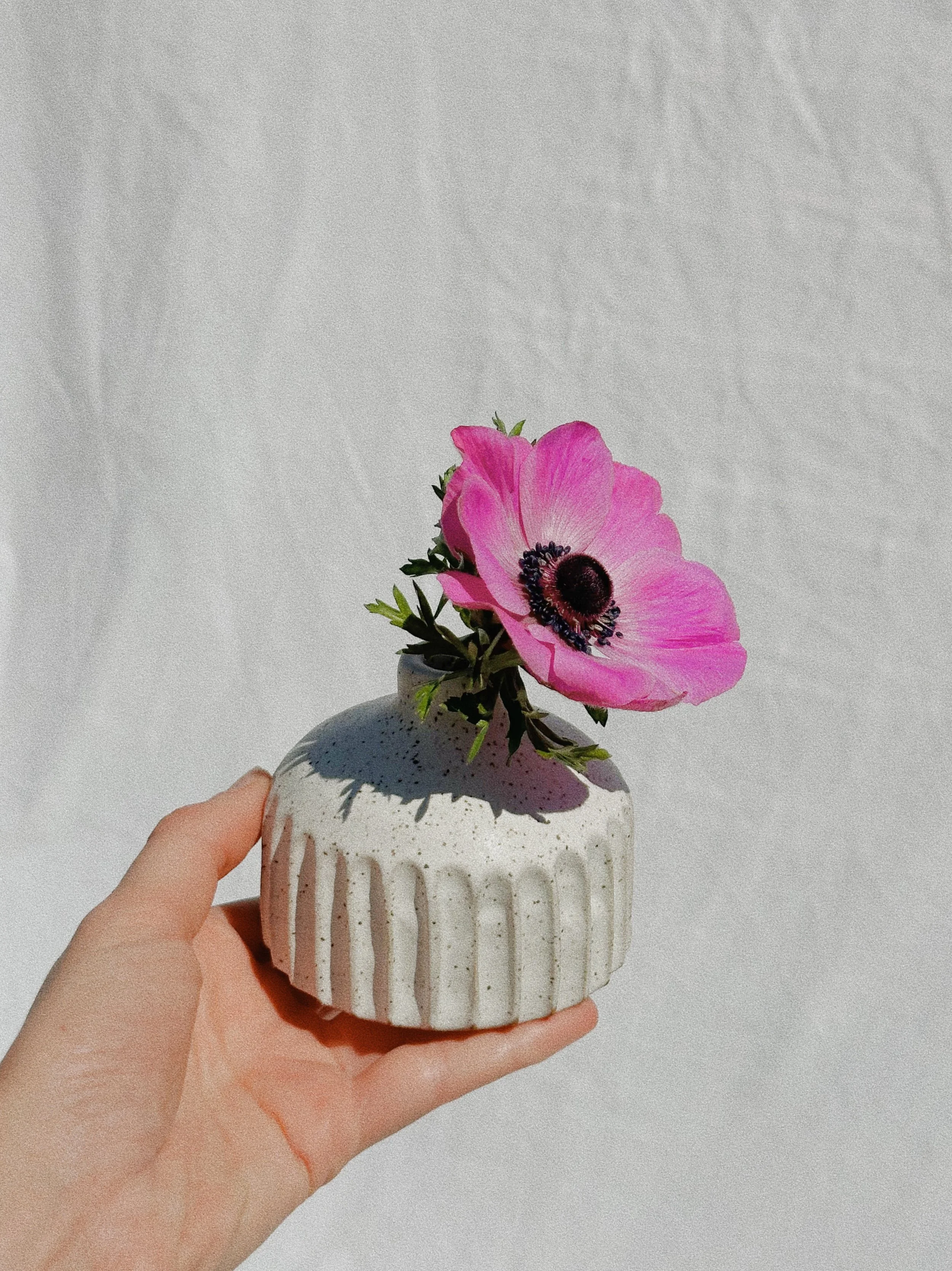 Shop — Pepper Stone Ceramics