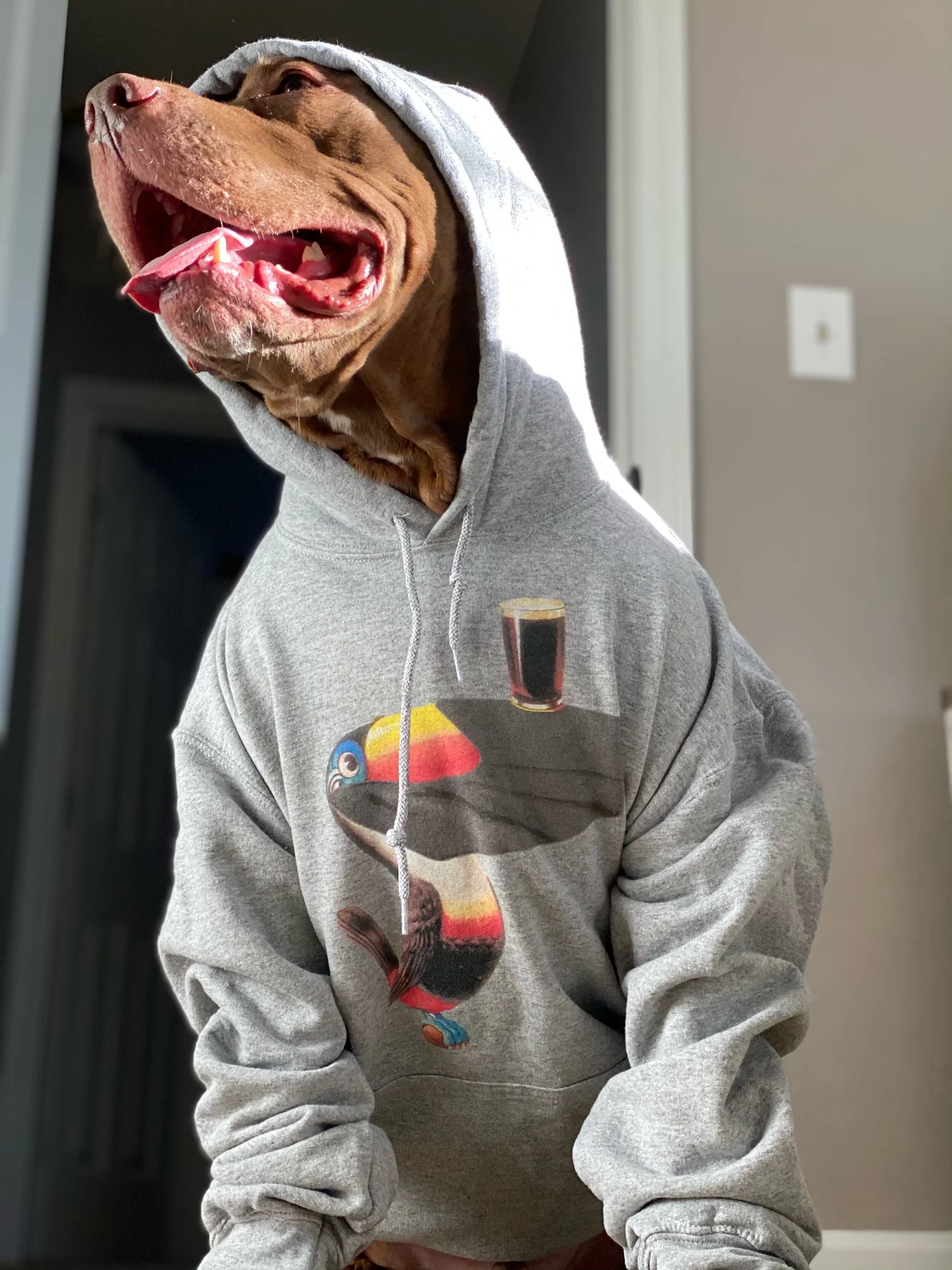 Store 2 — Shaskeen Pub