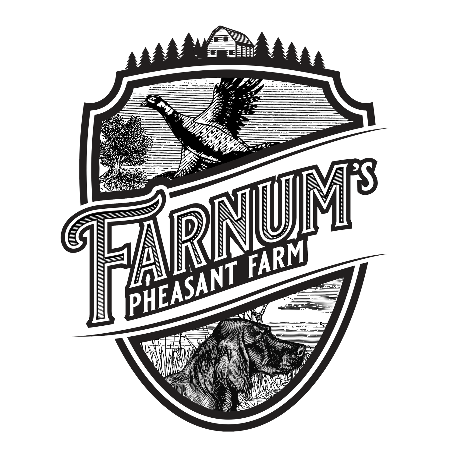 Farnum's Pheasant Farm Alberta Raised Pheasants